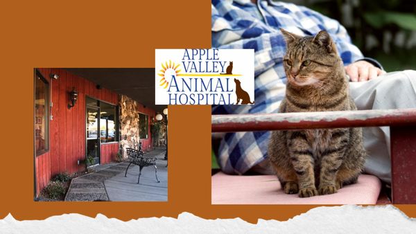 APPLE VALLEY ANIMAL HOSPITAL - Updated October 2025 - 43 Photos & 245 ...