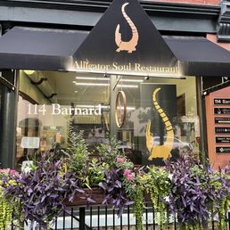 ALLIGATOR SOUL - Updated June 2025 - 1451 Photos & 1338 Reviews - 114 ...