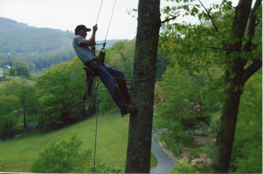 4 SEASONS TREE SERVICE, LLC - Updated August 2025 - 15100 Thomas Rd ...