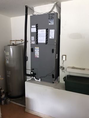 PROFESSOR COOL - Updated October 2025 - Land O' Lakes, Florida ...