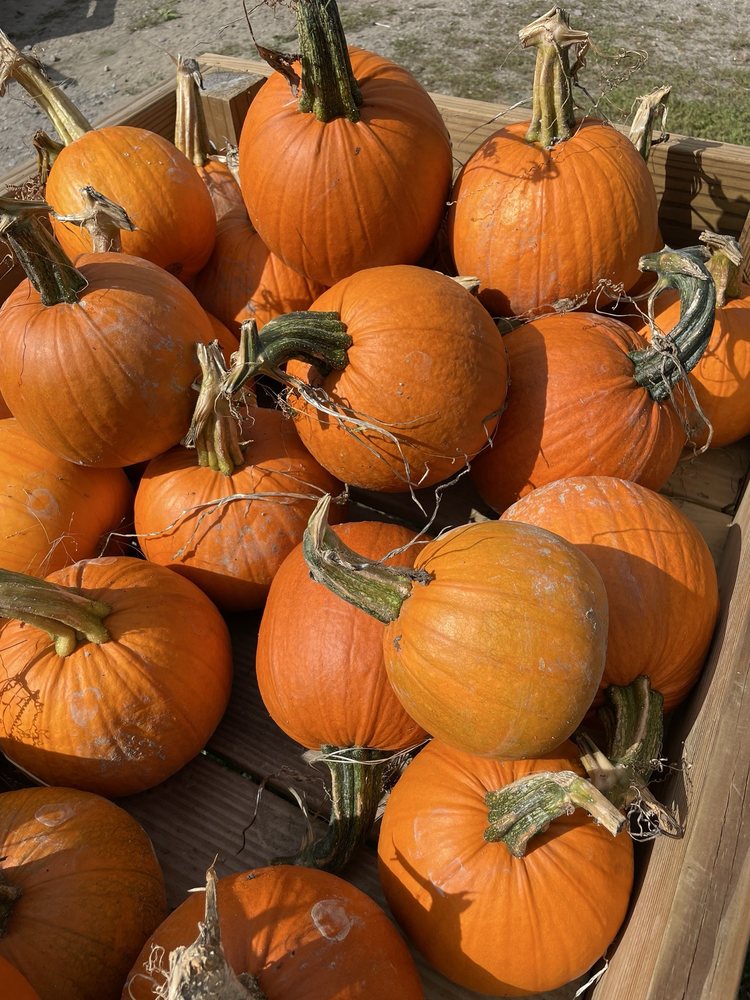 ROCKY RIDGE ORCHARD - Updated September 2025 - 47 Photos & 27 Reviews ...