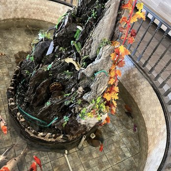 ULTIMATE BUFFET - Updated December 2025 - 206 Photos & 284 Reviews ...