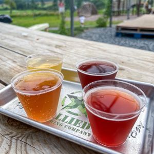 TREEHOUSE BREWING - Updated September 2025 - 95 Photos & 37 Reviews ...