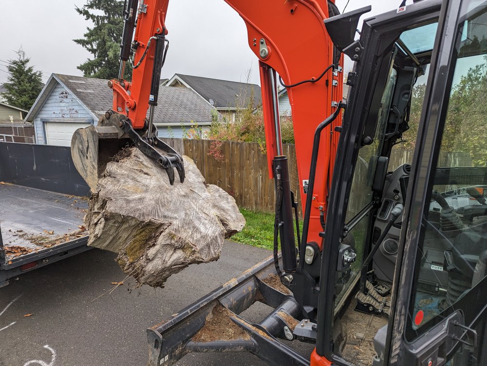 AMERICAN ARBOR CARE - Updated December 2025 - 16 Photos - Everett ...