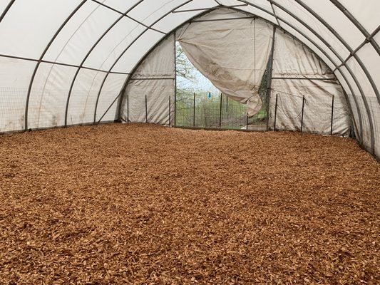 PARADISE DOG RANCH - Updated December 2025 - 33 Photos & 34 Reviews ...