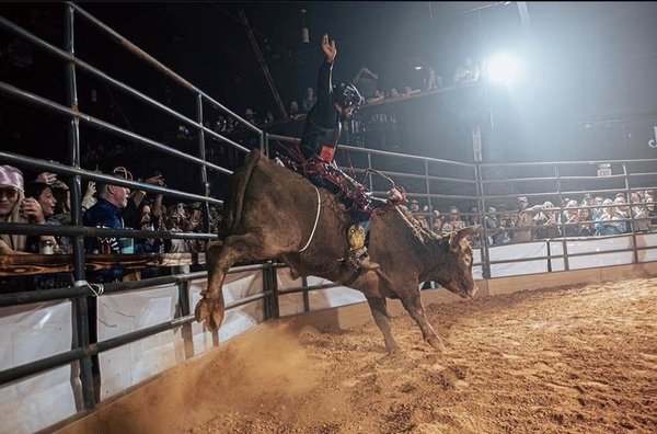 SLIDE & RIDE RODEO - Updated October 2025 - 13 Photos - 45 Broadview Dr ...