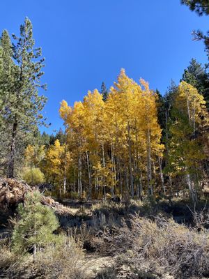 MARLETTE LAKE TRAIL - Updated May 2024 - 51 Photos - Carson City ...