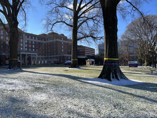 NOVANT HEALTH PRESBYTERIAN MEDICAL CENTER - Updated January 2026 - 45 ...