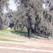 GLEN HELEN REGIONAL PARK - 109 Photos & 27 Reviews - Kids Activities ...