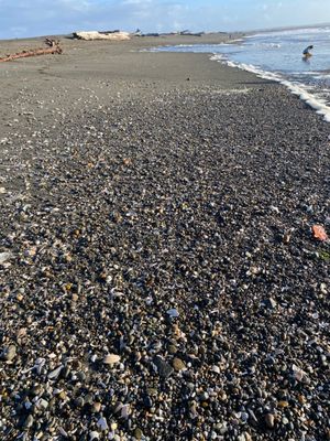DAMON POINT STATE PARK - Updated November 2024 - 40 Photos & 11 Reviews ...