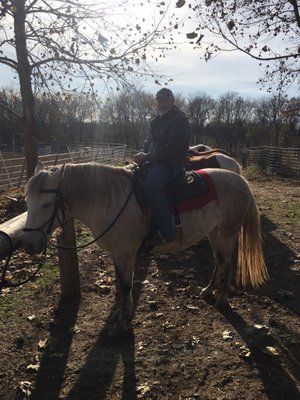 WILD ROSE EQUINE CENTER - 31 Photos & 16 Reviews - Horse Boarding ...