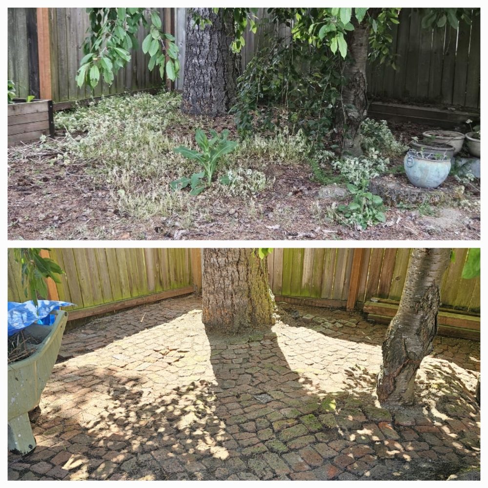 MAXX FLOW WASH - Updated May 2024 - Request a Quote - 10 Photos ...