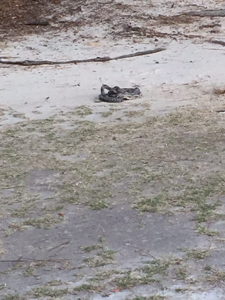 PINES CROSSING - Updated January 2026 - 16 Reviews - 900 Country Club ...