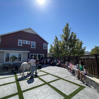 THE DINGLE FAMILY FARM AND STABLES - Updated April 2025 - 554 Photos ...