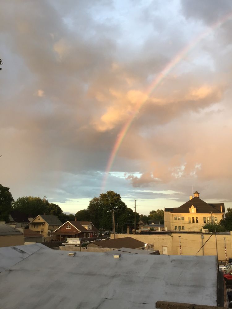 SUNSHINE LAWN CARE - Updated October 2024 - Request a Quote - Rockford ...