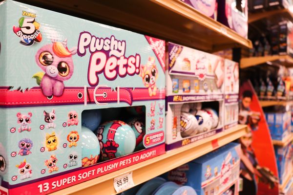 SCHEELS - 30 Photos & 20 Reviews - 4301 W Wisconsin Ave, Appleton ...