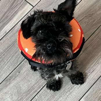 HESS RIDGE ANIMAL HOSPITAL - Updated December 2025 - 21 Photos - 12225 ...