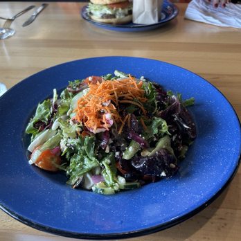 BLEU MONKEY GRILL - Updated December 2025 - 34 Photos & 27 Reviews ...