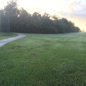 TEXAS AVENUE PARK - 47 Photos & 20 Reviews - 17100 Texas Ave, Webster ...