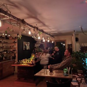 BULA KAVA HOUSE - 89 Photos & 125 Reviews - 3115 SE Division St, Portland, Oregon - Lounges ...