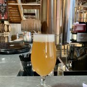 SPRING HOUSE BREWING COMPANY - 194 Photos & 201 Reviews - 209 Hazel St ...