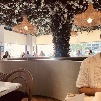 CLIO - Updated July 2024 - 172 Photos & 43 Reviews - 1202 Howard St ...