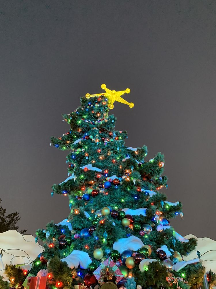 GRINCHMAS - Updated October 2025 - 106 Photos & 18 Reviews - 100 ...