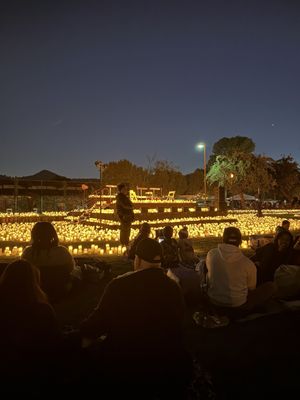 LOS ANGELES EQUESTRIAN CENTER - Updated January 2025 - 161 Photos & 81 ...