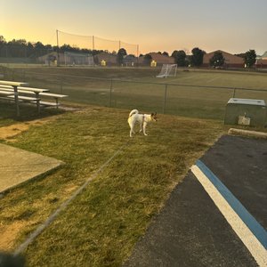 NOONDAY PARK - Updated July 2025 - 20 Photos & 11 Reviews - 489 Hawkins ...