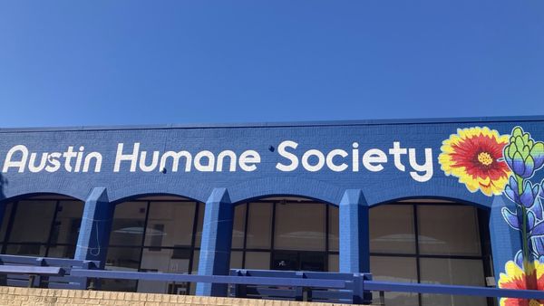 AUSTIN HUMANE SOCIETY - Updated May 2026 - 131 Photos & 120 Reviews ...