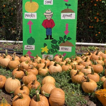 KULA COUNTRY FARMS - 837 Photos & 113 Reviews - 6240 Kula Hwy, Kula ...