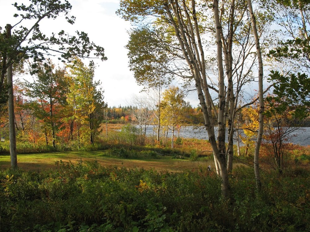 THE ENGLISH COUNTRY GARDEN BED & BREAKFAST - Updated March 2025 - 45478 ...