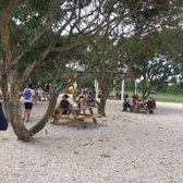 The Berry Farms - 59 Photos & 13 Reviews - Farms - 13720 SW 216th st ...