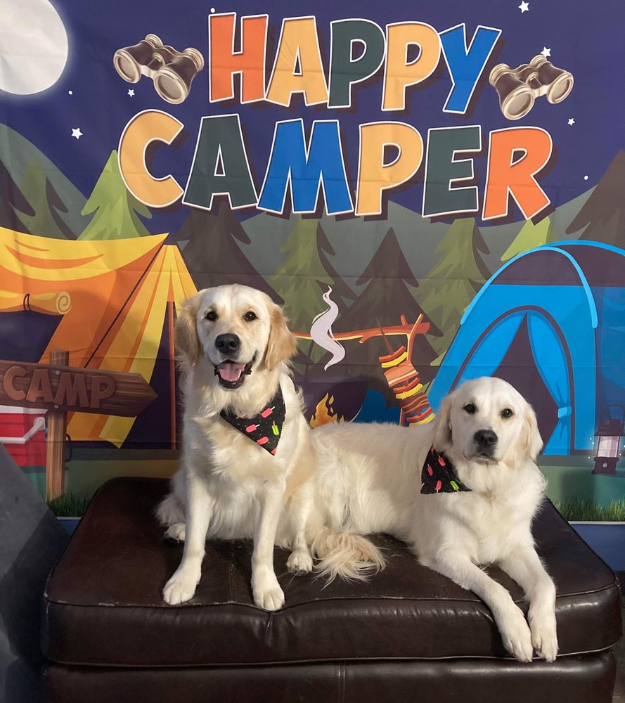 ALL THAT JAZZ GROOMING SALON - Updated November 2025 - 236 Main St ...