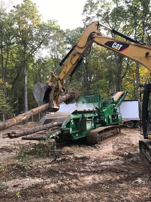 KACHUR TREE SERVICE - Updated December 2025 - 45 Photos - 316 Fulkerson ...