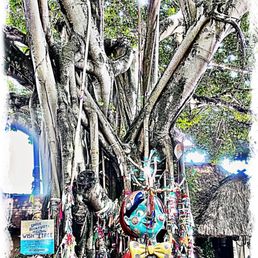 EL TURCO TURKISH FOOD - Updated December 2025 - 812 Photos & 431 ...