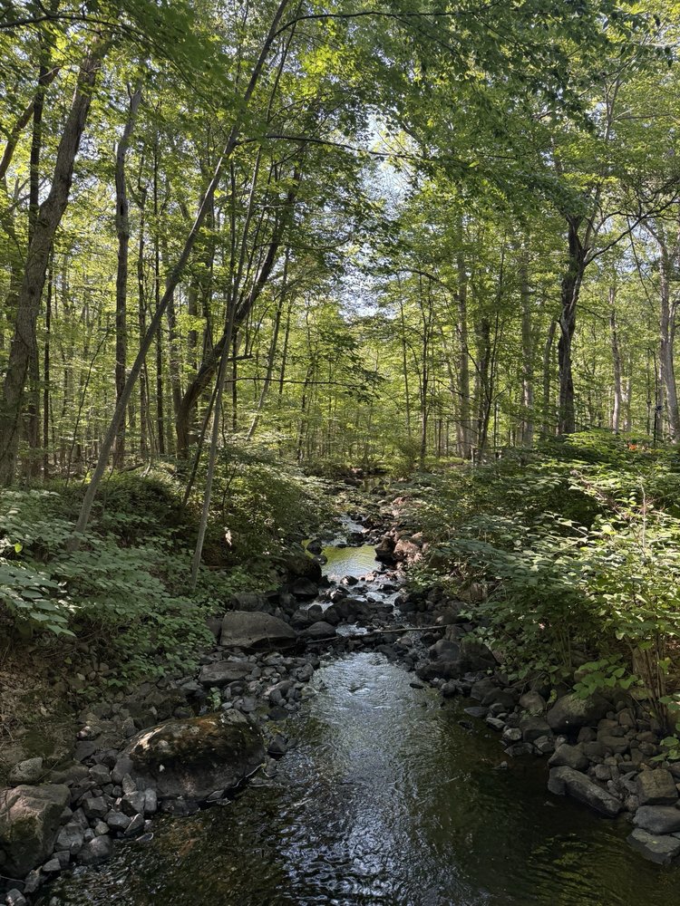 DEER LAKE CLUB - Updated December 2025 - 11 Photos - 118 Rockaway ...