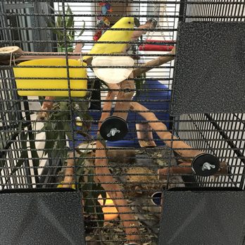 MAGNOLIA BIRD FARM - Updated November 2024 - 137 Photos & 184 Reviews ...