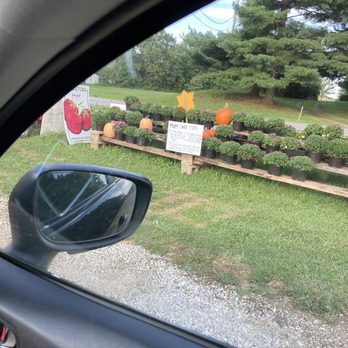 MINK STREET MARKET - Updated December 2025 - 20 Photos - 3740 Mink St ...