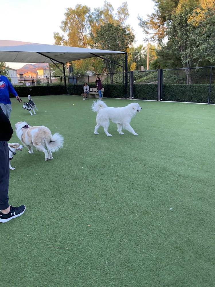 BARKER RANCH DOG PARK - Updated October 2025 - 64 Photos & 68 Reviews ...