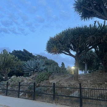 PEARSON PARK & POOL - Updated January 2026 - 206 Photos & 44 Reviews ...