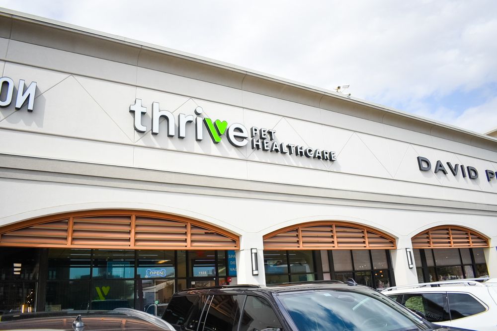 THRIVE PET HEALTHCARE - FOUNTAINVIEW - Updated May 2026 - 113 Photos ...