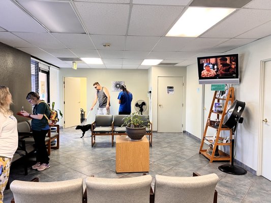 SAUGUS ANIMAL HOSPITAL - Updated December 2025 - 49 Photos & 167 ...