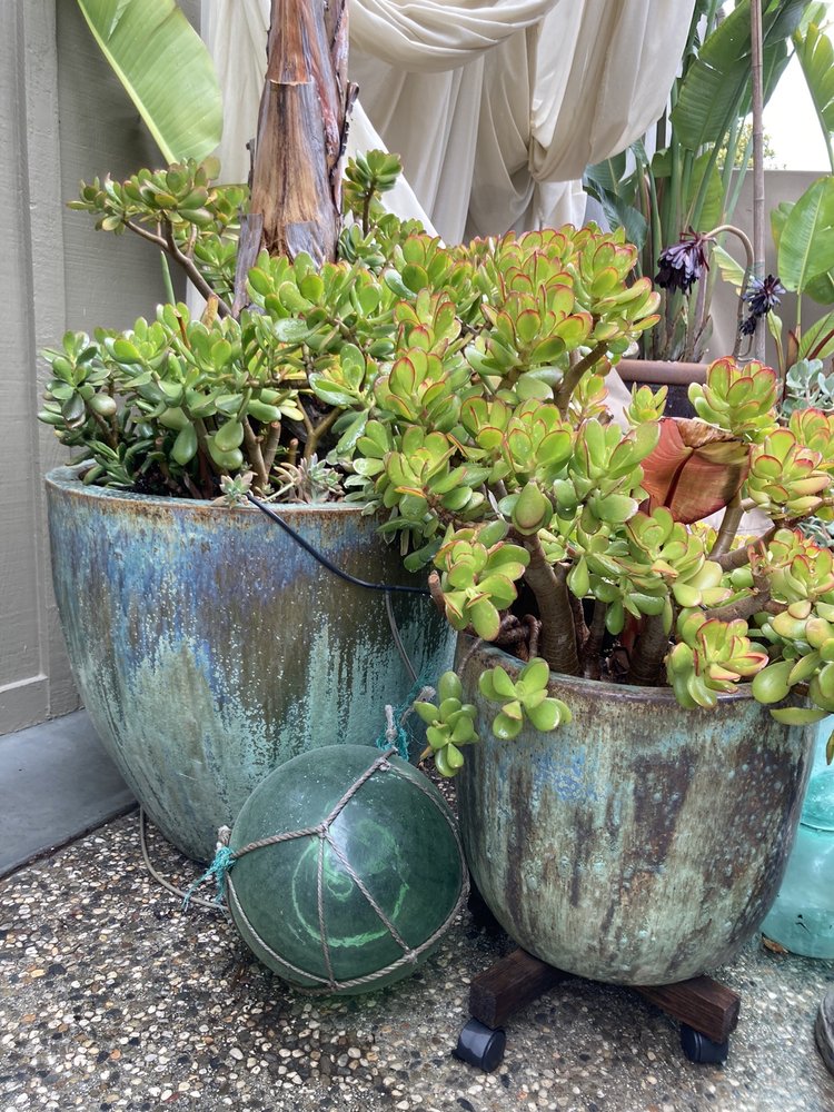 POTTERY PLANET SANTA CRUZ - Updated November 2024 - 41 Photos & 25 ...