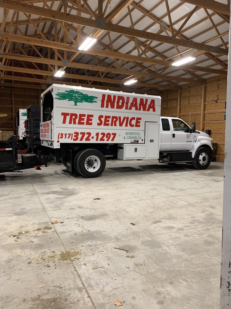 INDIANA TREE SERVICE - Updated July 2025 - 23 Photos & 10 Reviews - 507 ...