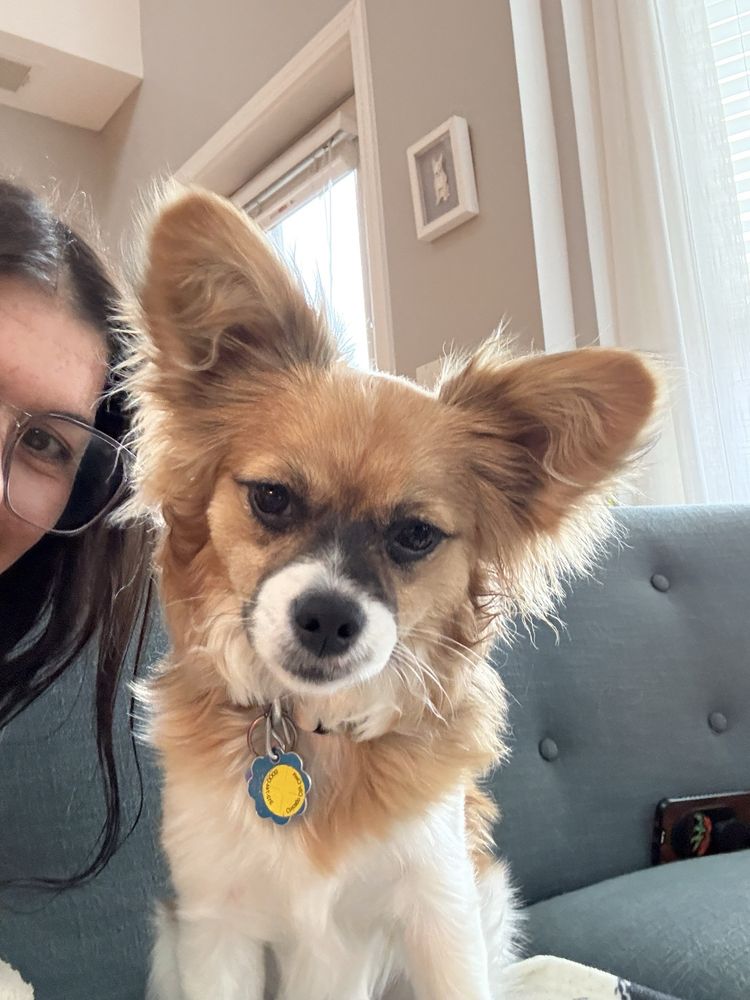 ALIVE RESCUE - Updated December 2025 - 10 Photos & 52 Reviews - 2227 W ...