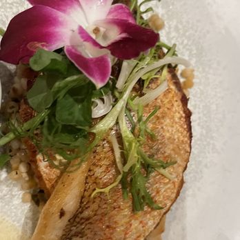 LIMÓN ROOFTOP BAR - Updated May 2024 - 35 Photos & 35 Reviews - 455 ...