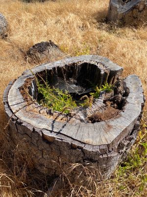 OAK GROVE CAMPGROUND - Updated June 2024 - 55 Photos & 26 Reviews ...