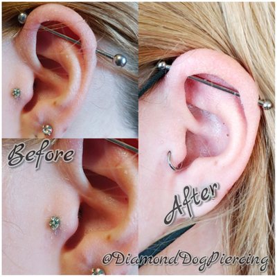 DIAMOND DOG BODY PIERCING - 3020 Henderson Dr, Cheyenne, Wyoming ...