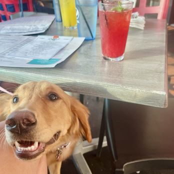 BARRACUDAS LOCUST POINT TAVERN - Updated November 2025 - 155 Photos ...